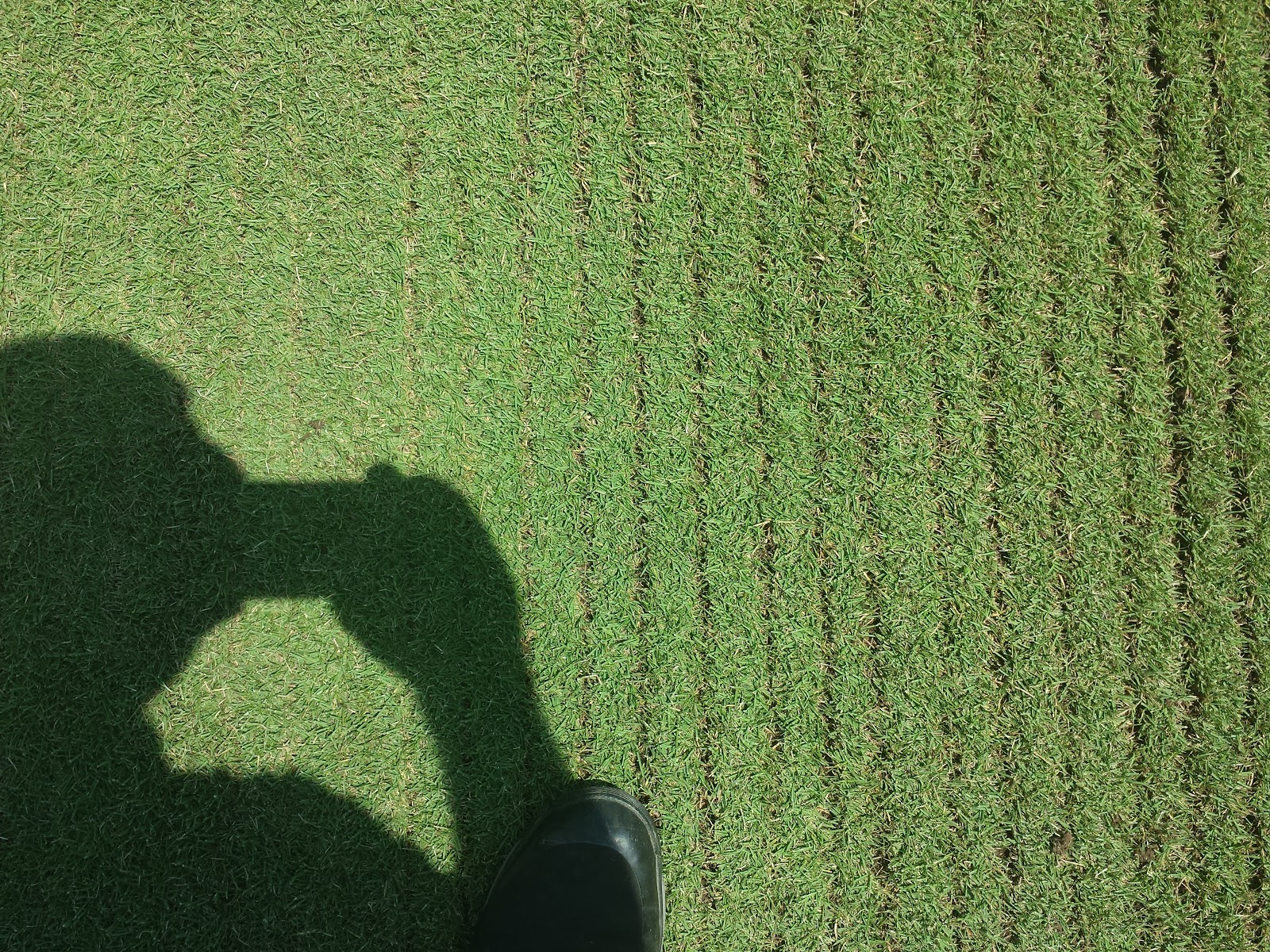 The Creek Club Golf Course Maintenance: Wiedenmann verticutting Zorro ...