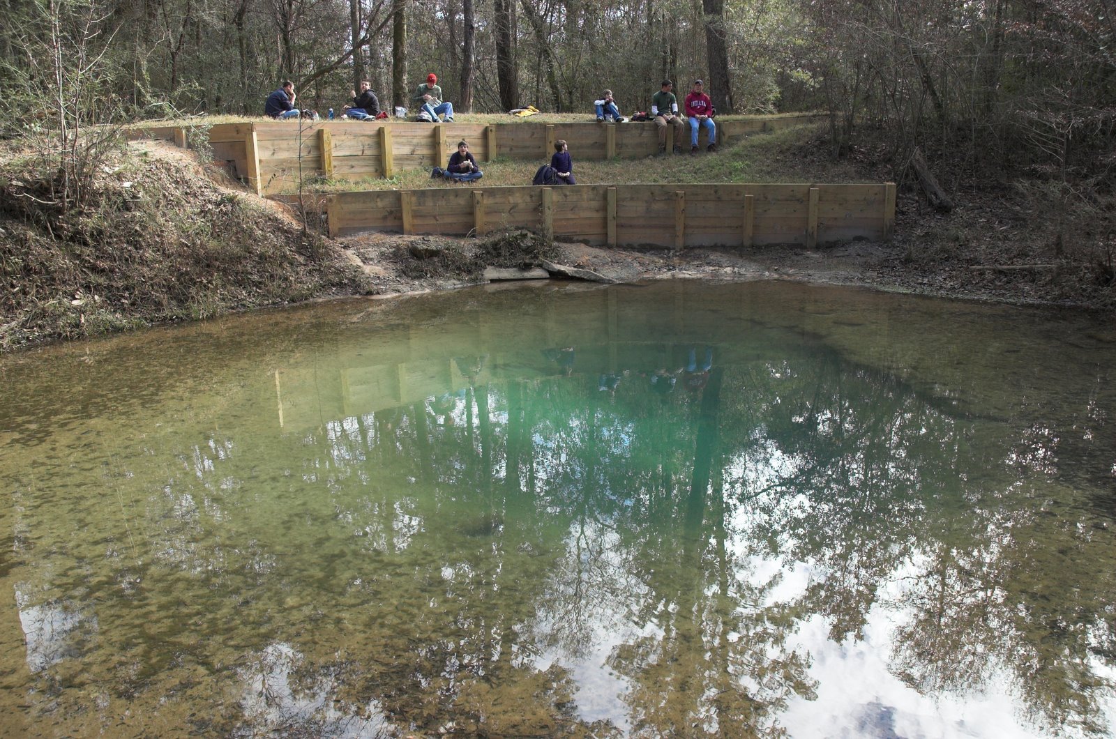 Conecuh National Forest ~ Jungle World