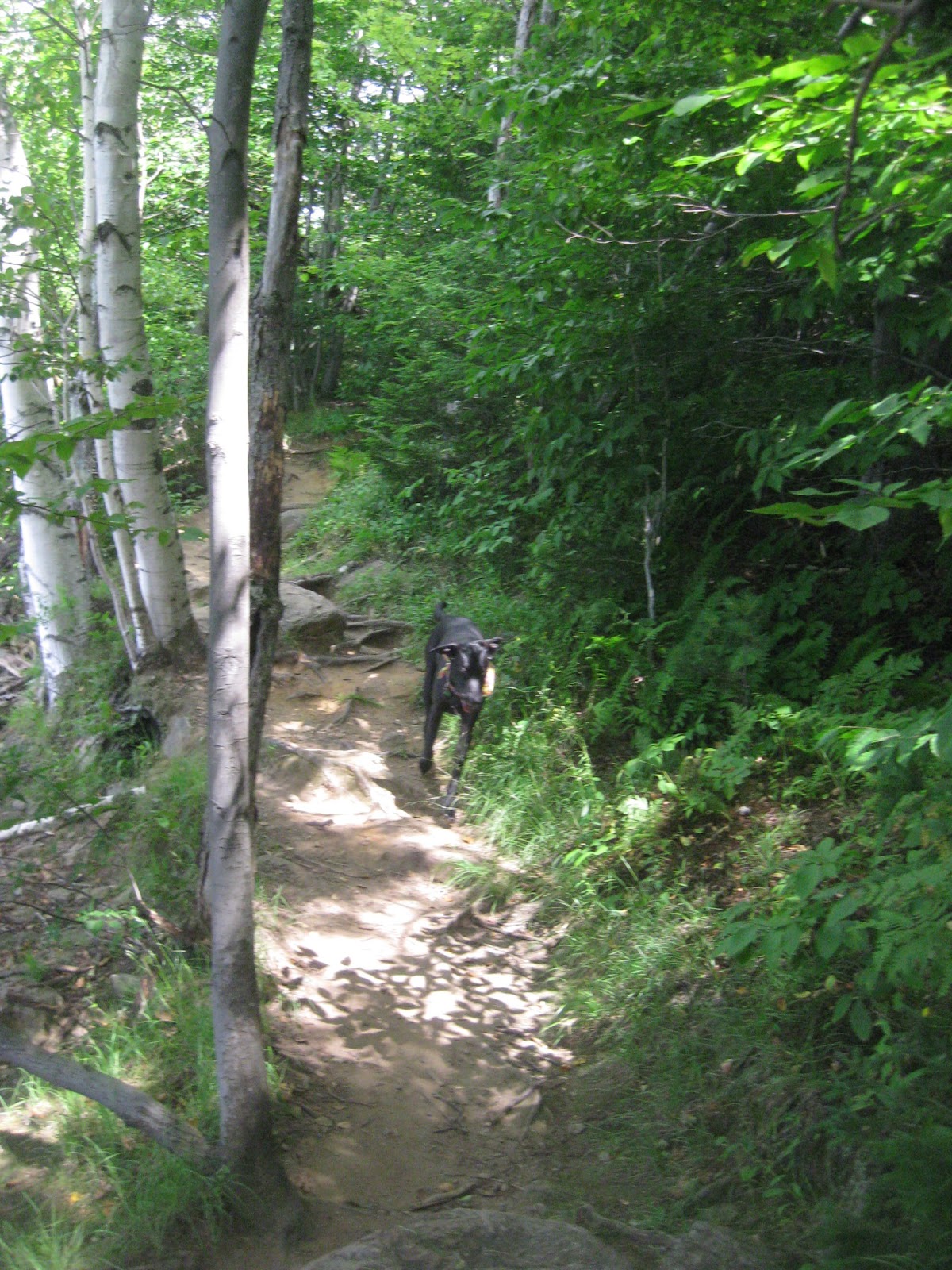 Reluctant Rebel: Vermont - The Ledges - The Good Old Days