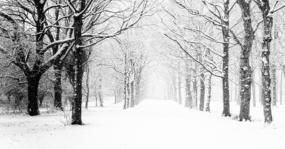 3 Problems Everyone Has in Winter and How to Solve Them | The Jersey Momma