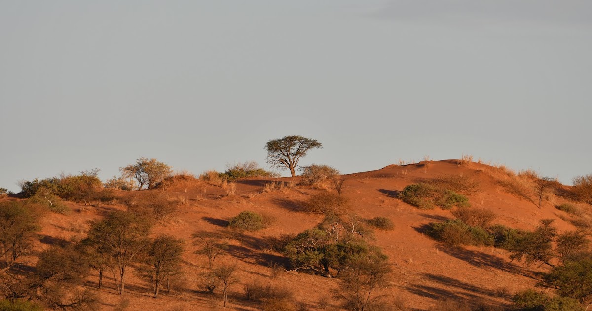 A day in the life: My Kalahari Adventure #1