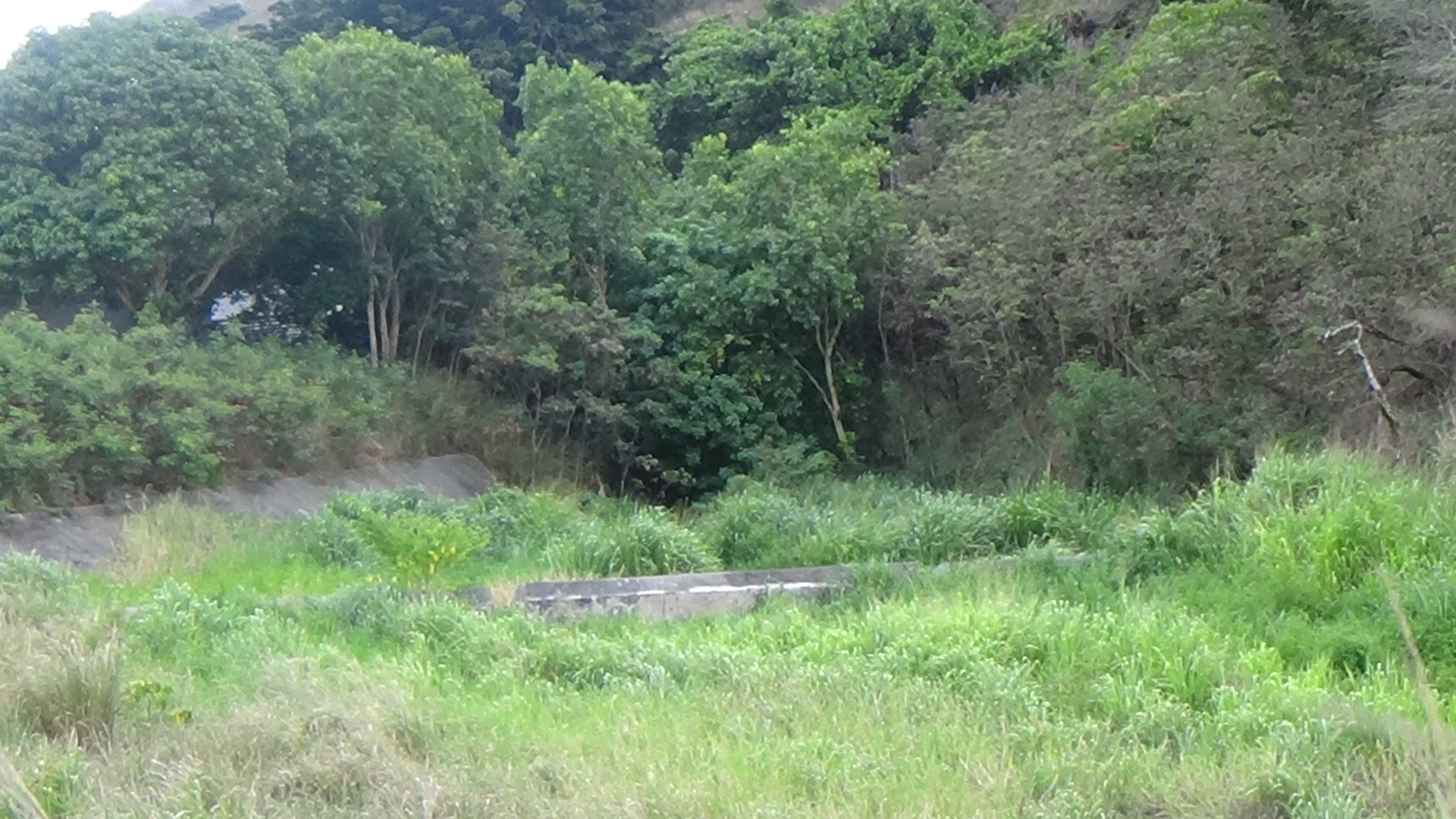 Waialae streams and a Kapakahi puzzle