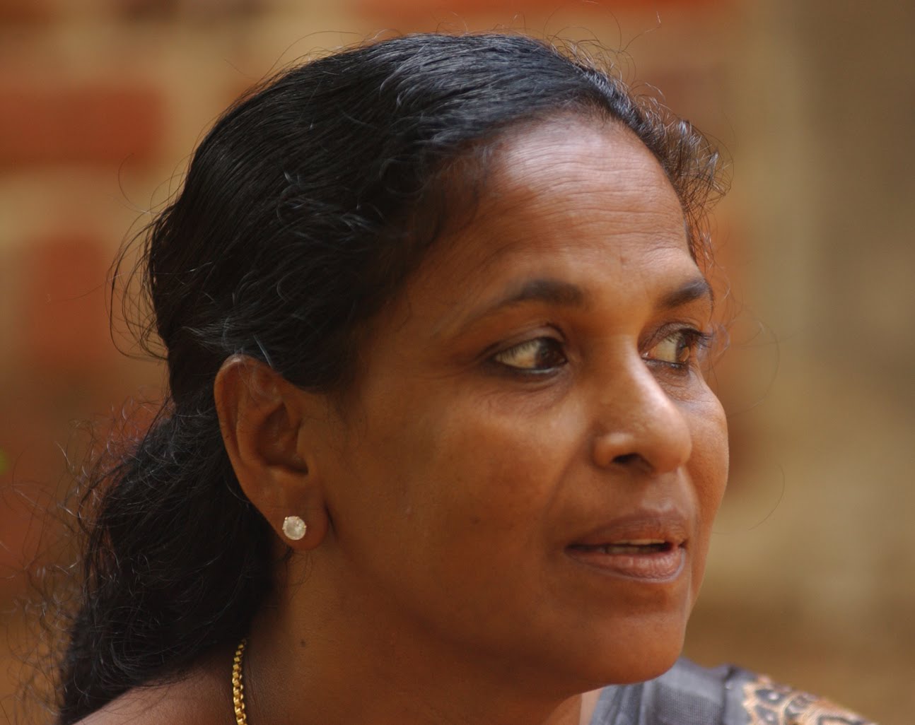 നീലഗിരി: നളിനി ജമീല ഒരു സ്‌നേഹസംവാദം തുടങ്ങുന്നു