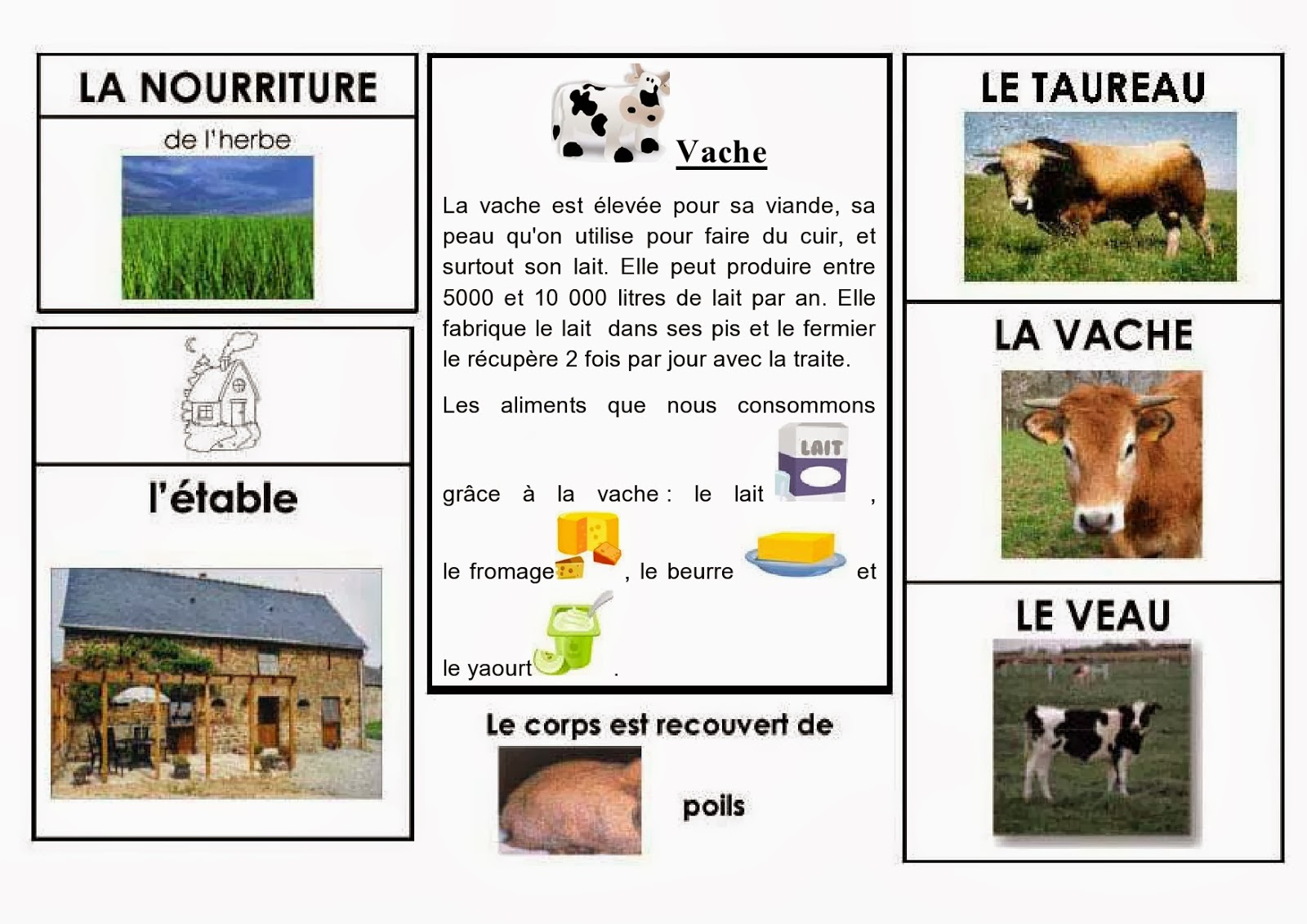 S'épanouir pour bien grandir: Les animaux de la ferme