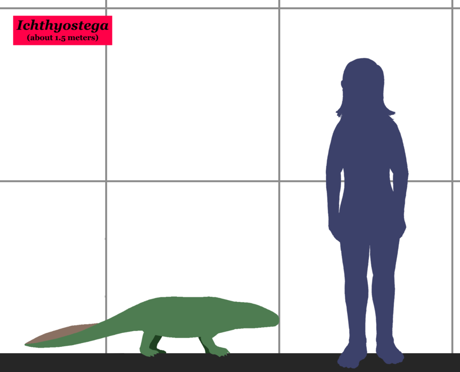 Blog de la Vida Prehistórica: Ichthyostega