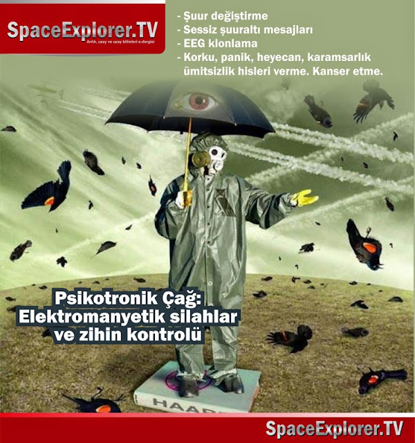 Gerçek Tarih ve Kültür | Akademi Dergisi | Mehmet Fahri Sertkaya ...