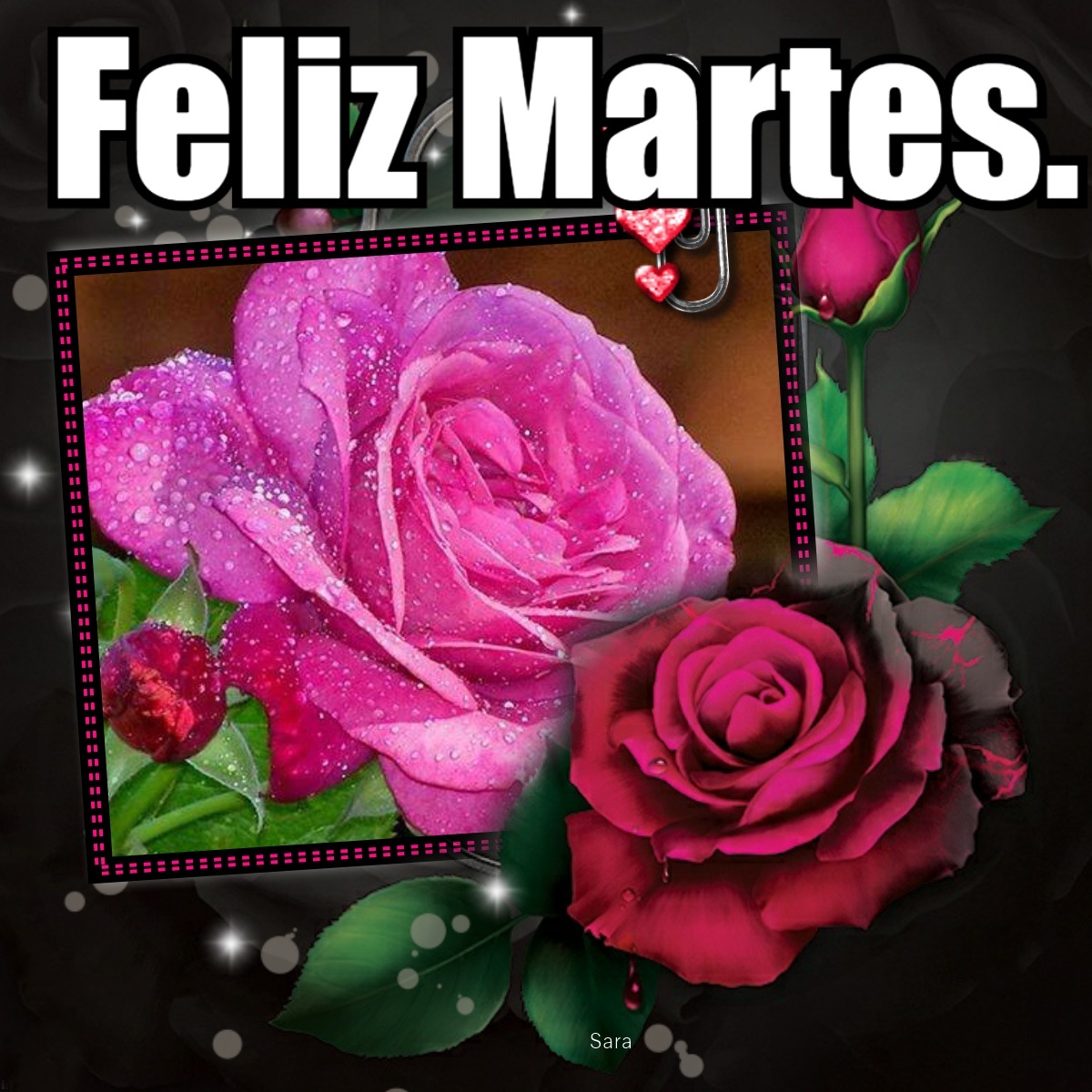 FELIZ MARTES