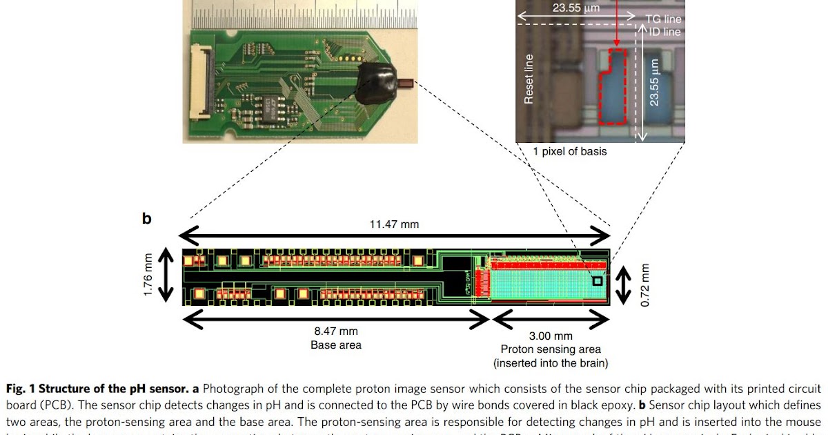 Image Sensors World: Proton Image Sensor with High Spatial-Temporal Resolution