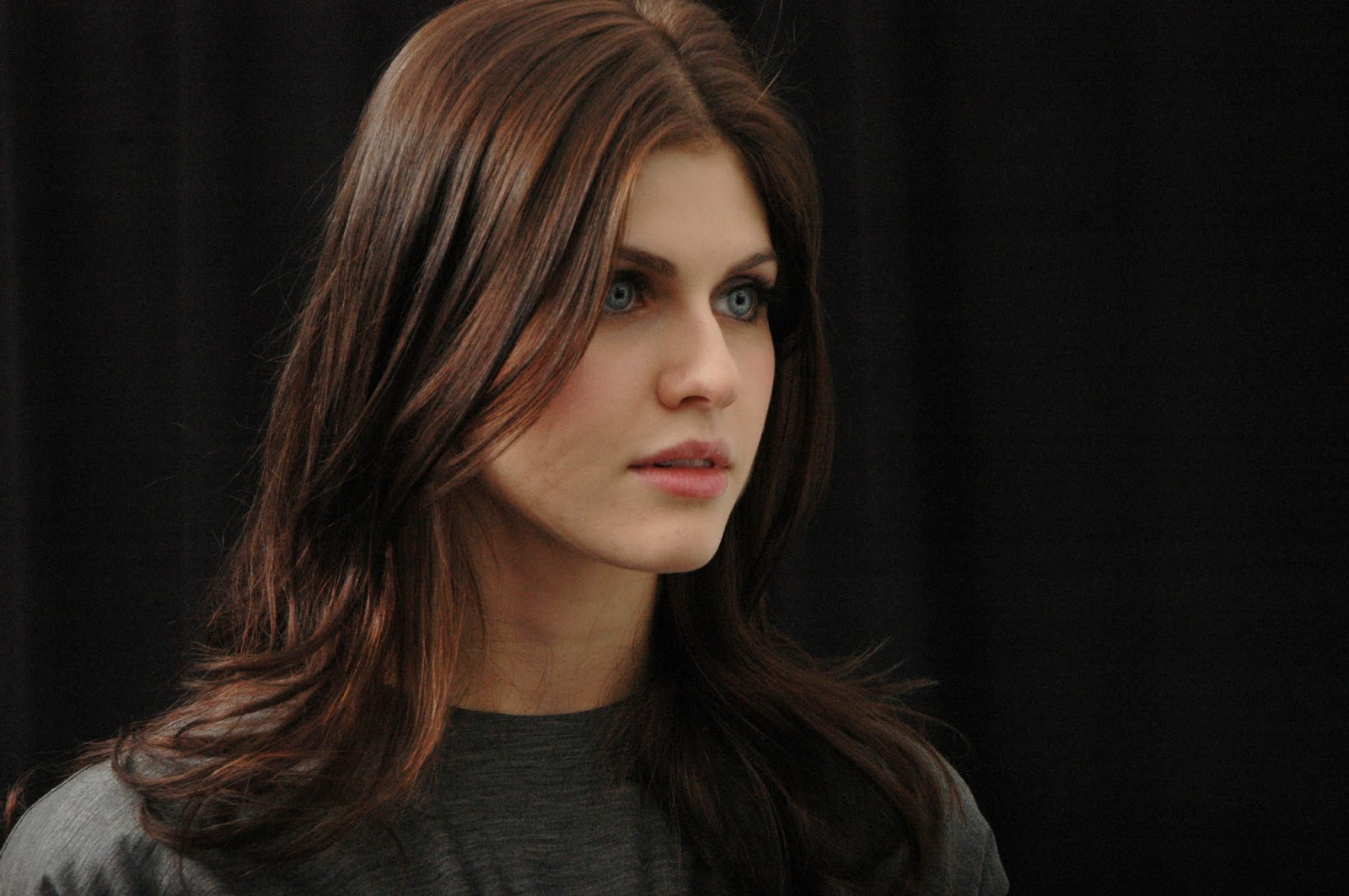 Alexandra Daddario HD Photos at 'Percy Jackson and the Olympians The ...