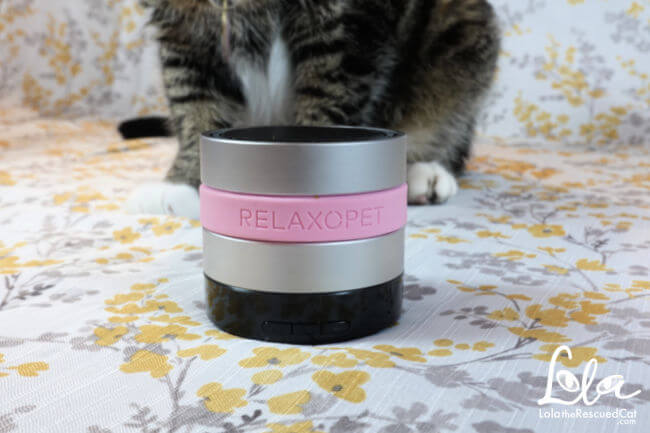 Reduce Your Cat's Stress With the RelaxoPet PRO | Lola The Rescued Cat