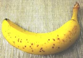 Never Give Up: Banana Fight Cancer