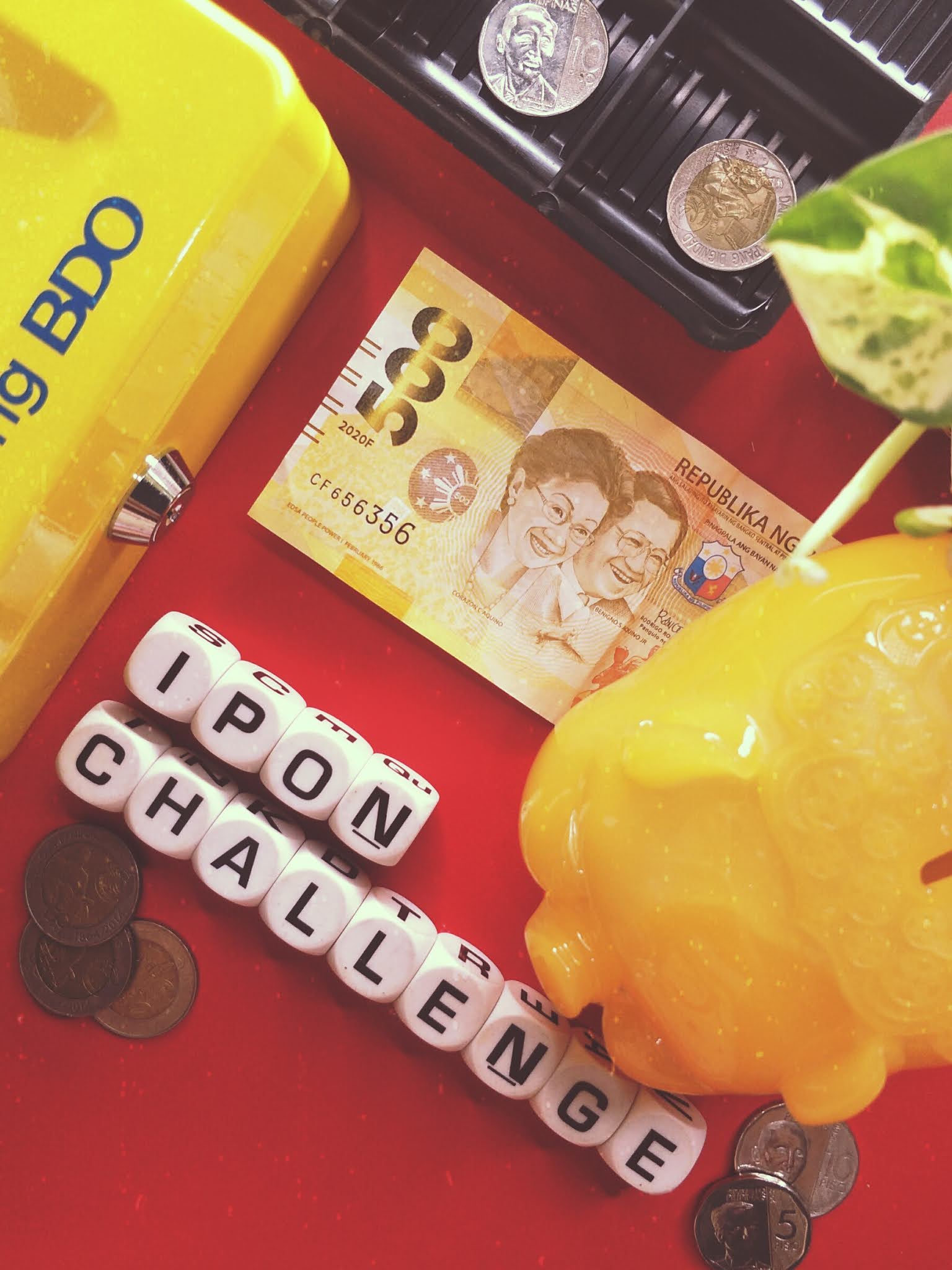 What "IPON CHALLENGE" Are You In? | Aci Girl