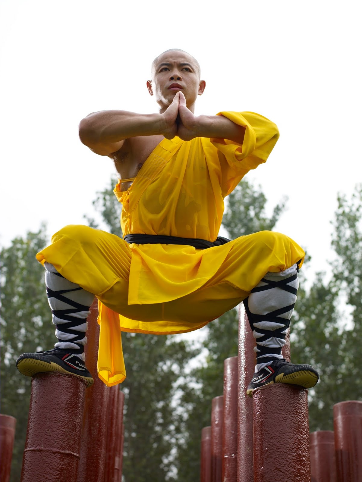 Opiniones de shaolin