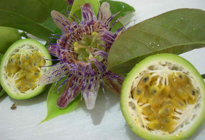 Garvin's World: August 2012