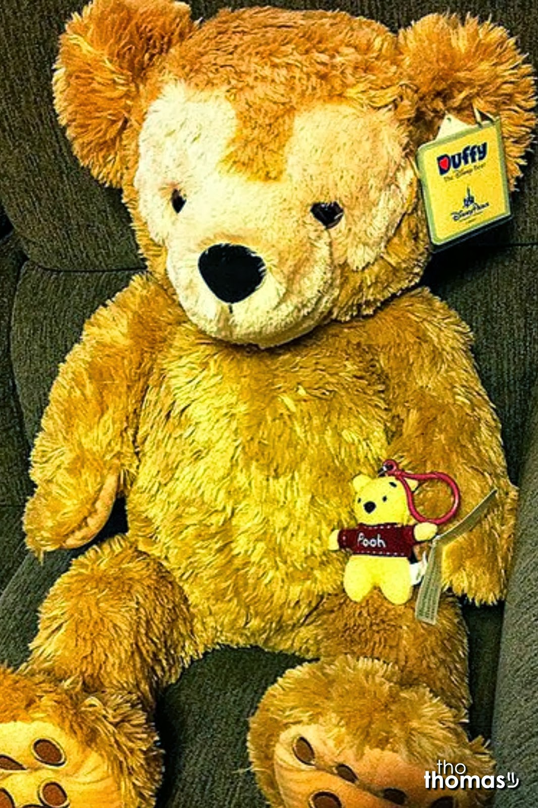 Tho's Dreams: Today is Duffy's Birthday! 今天是Duffy的生日!