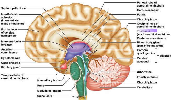 Jules Musings: 4 years!!!!