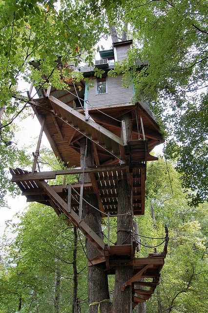 Treehouse treehouse, a house up a tree... | nooshloves