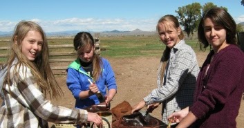 Tom Redmond (Aussie) | Blogspot