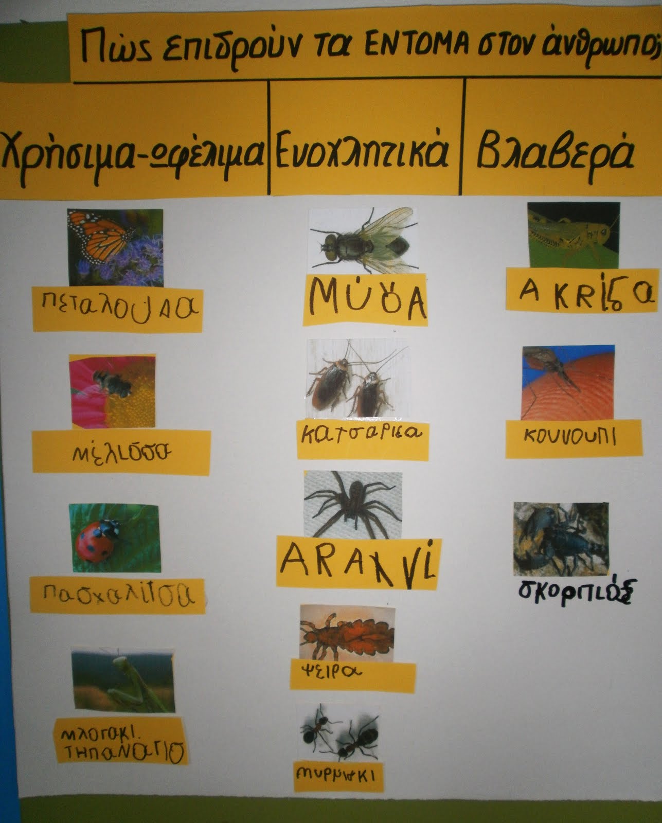 1ο ΝΗΠΙΑΓΩΓΕΙΟ ΙΣΤΙΑΙΑΣ: Μαθαίνουμε για τα ΕΝΤΟΜΑ στο νηπιαγωγείο ...