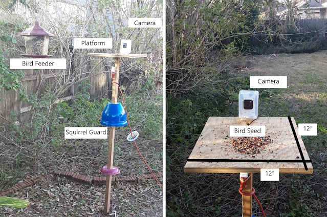 How to organize a “Zoom call” with birds - a new, DIY approach to bird ...