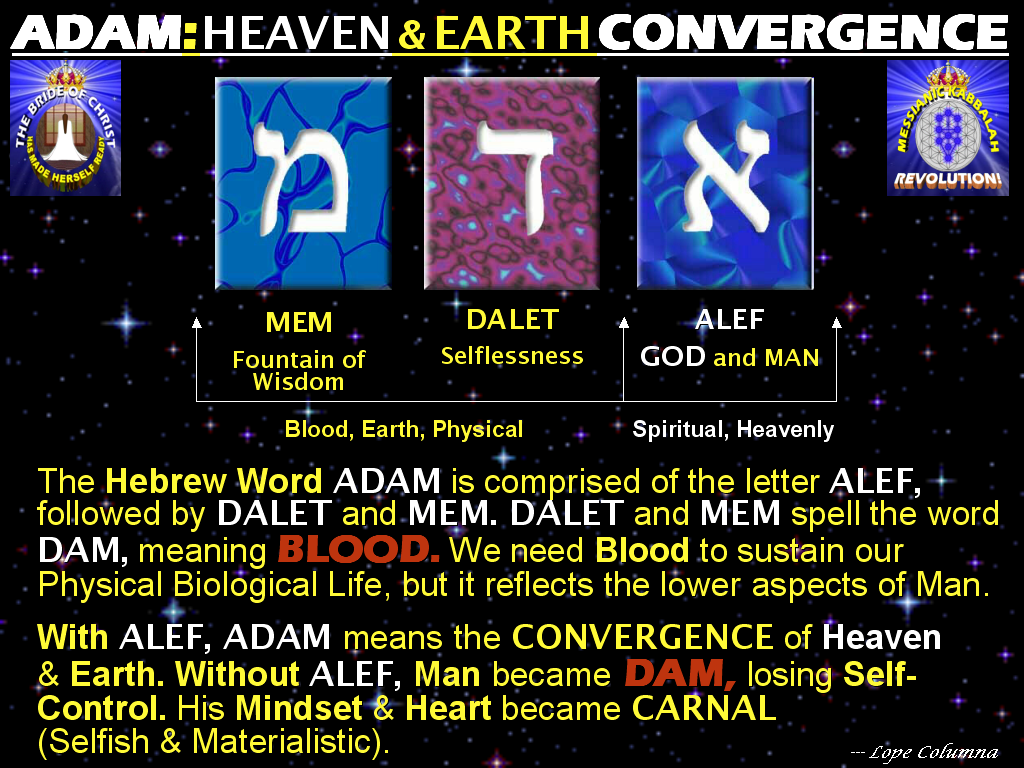 COLUMNA BITES OF WISDOM What Does It Mean TRUE ADAM MAN ADAM Was columna-bites-of-wisdom-what-does-it-mean-true-adam-man-adam-was