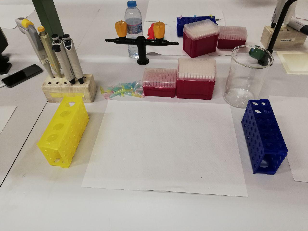 EXTRACCIÓN ADN GENÓMICO A PARTIR DE LOS LINFOCITOS DE LA SANGRE. (27 de ...