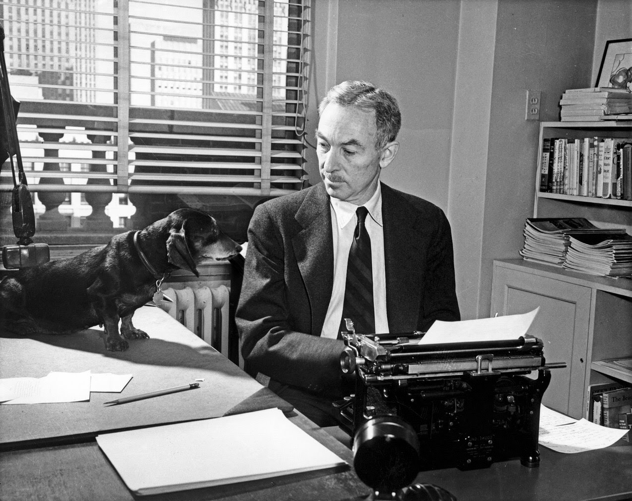 Terrierman's Daily Dose: E.B. White's Dog, Fred, Was a Ghoul