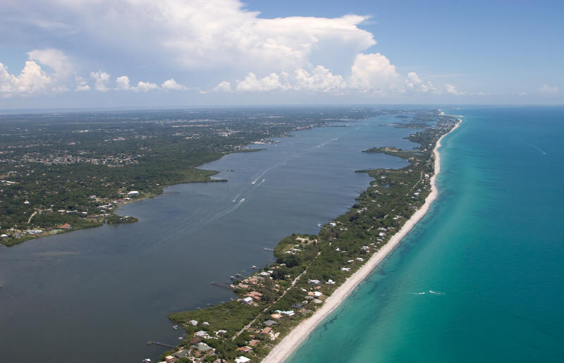 Field Notes and Photos: Barrier Island Walkabout with Lemon Bay Conservancy
