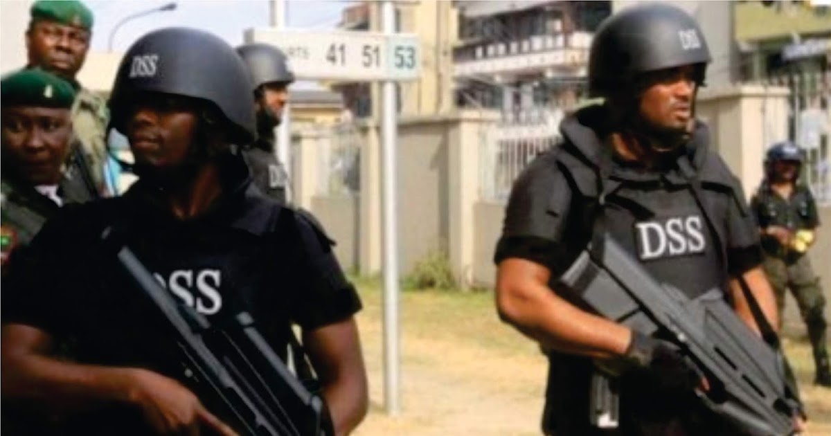 DSS officer shoots man while aiming runaway Christmas cow | Nigerian ...