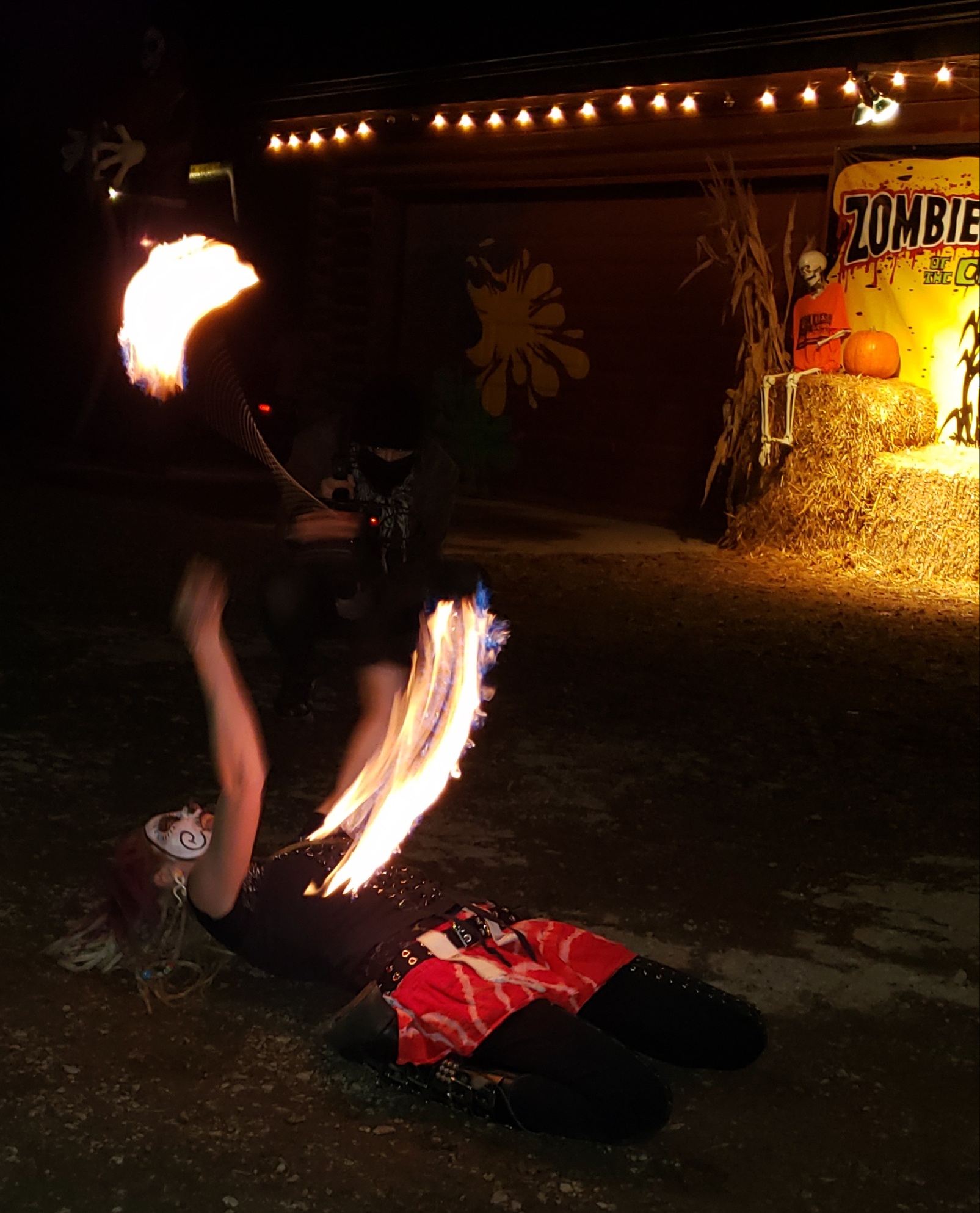 Empty Nest -Whimsical Journey to Survive and Self Actualize : Day 375 ...