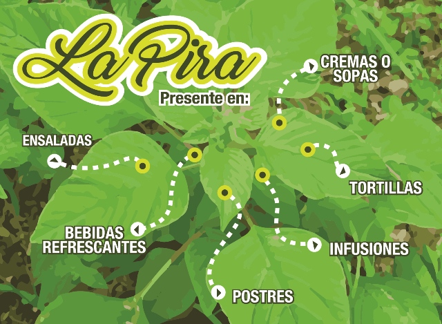 Educación Alimentaria y Nutricional: La Pira y sus secretos nutricionales