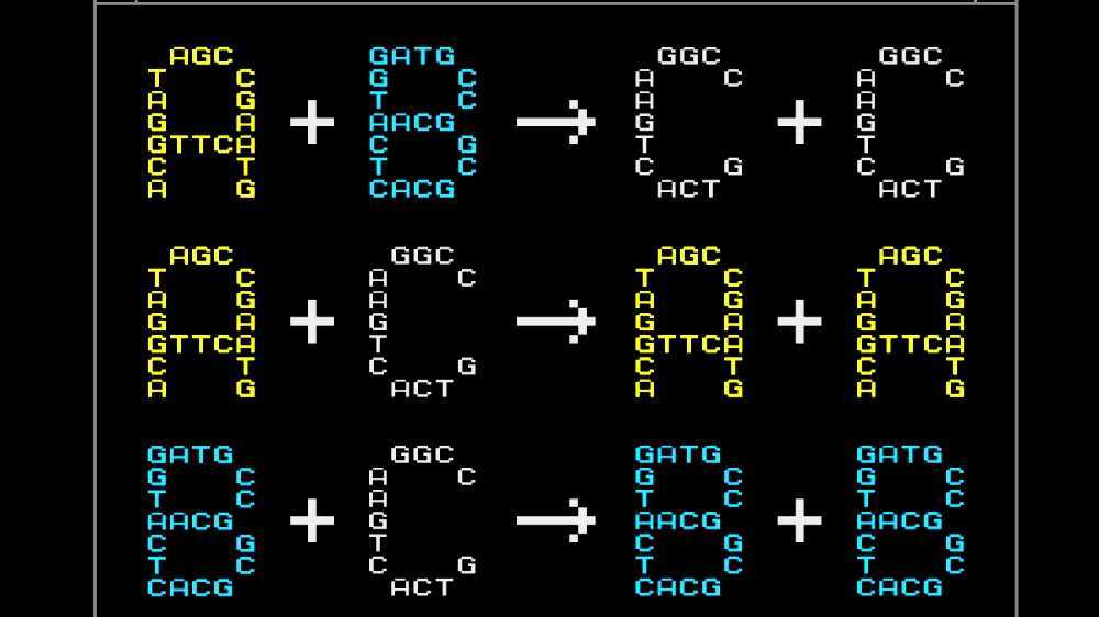 B (programming language)