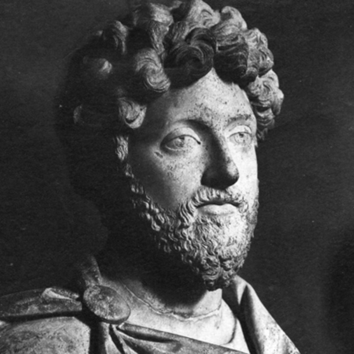 A Stoic Breviary: Classical Wisdom in Daily Practice: Marcus Aurelius ...