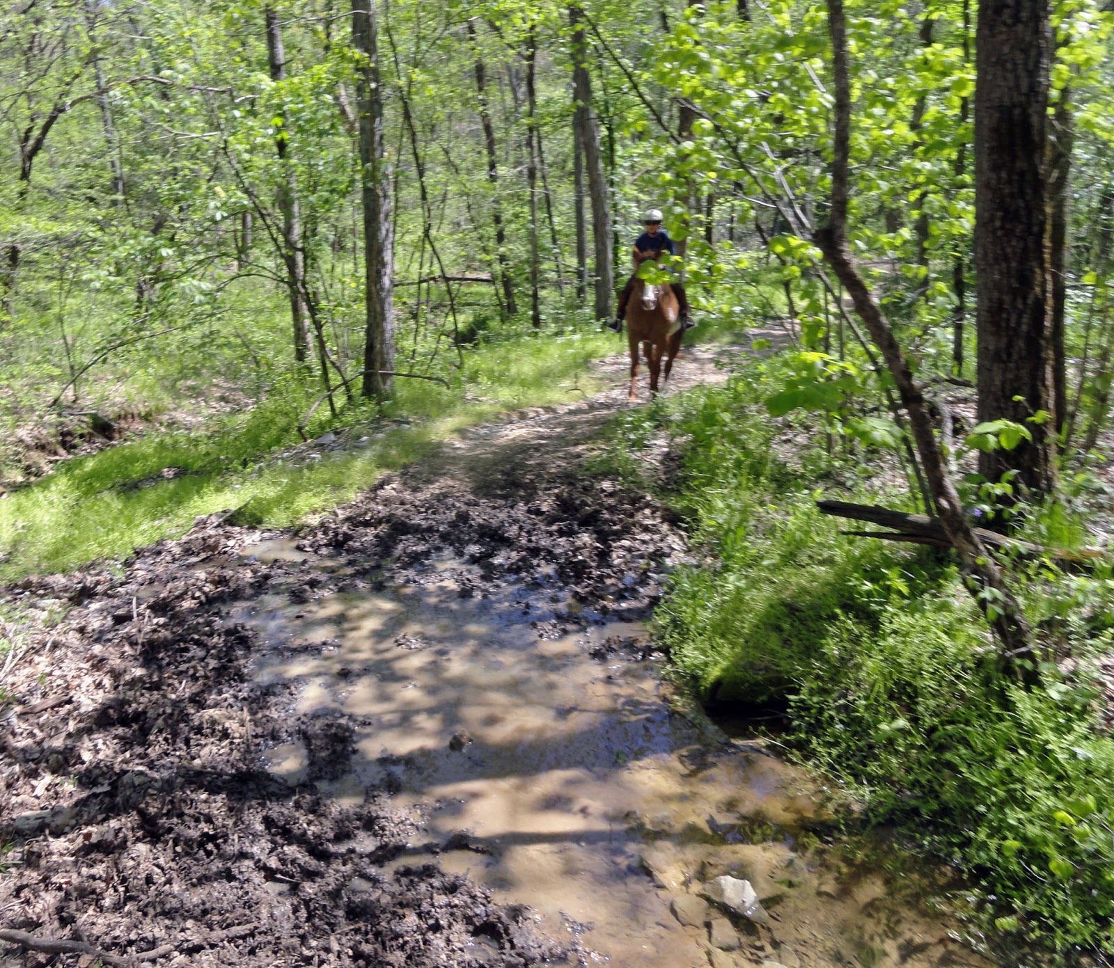 Mustang Dreams....: Trail Ride with Friends Today...