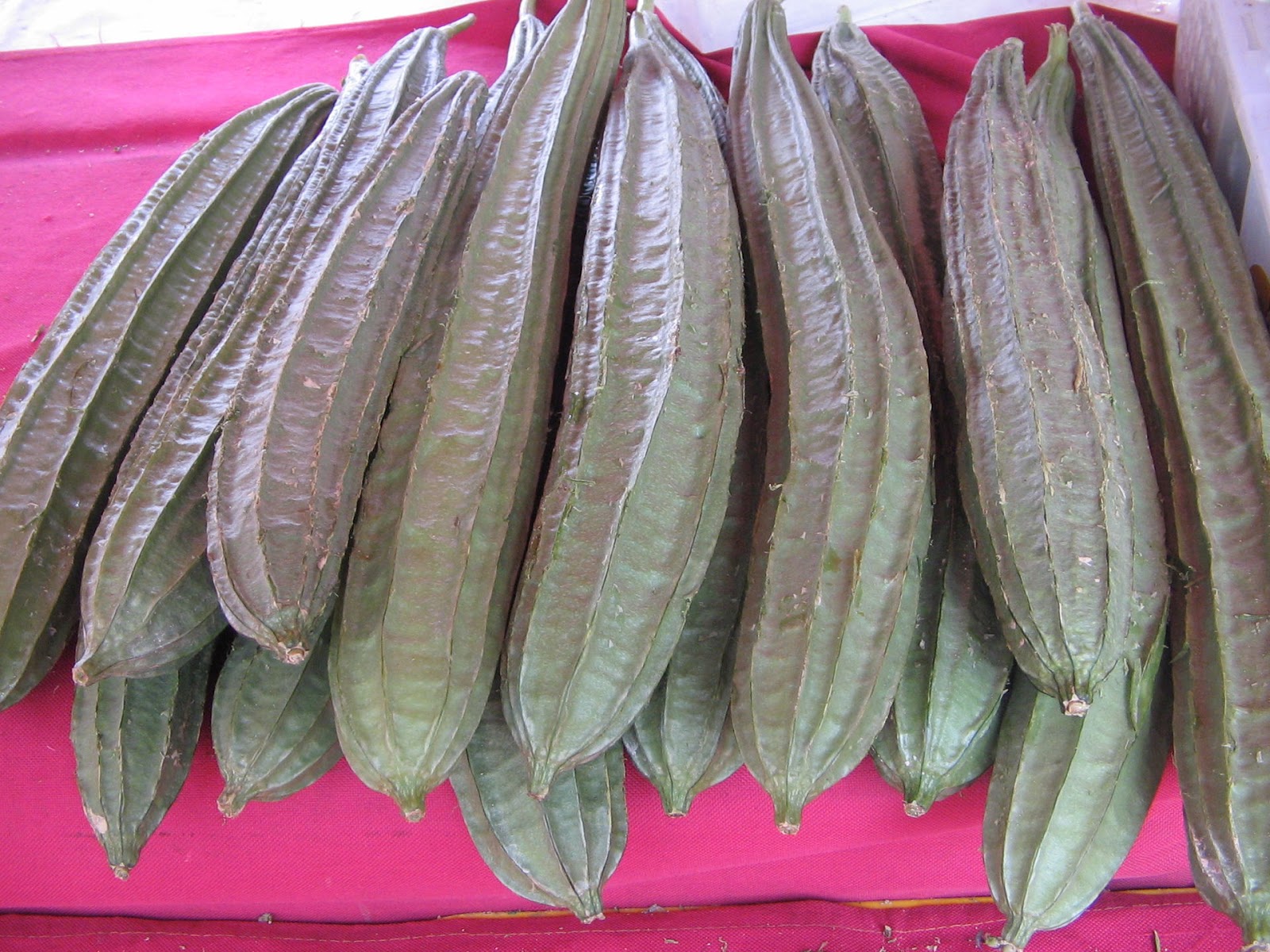 Crotons World: Kenali Pokok Petola - Dibiar Matang dan Dikeringkan ...