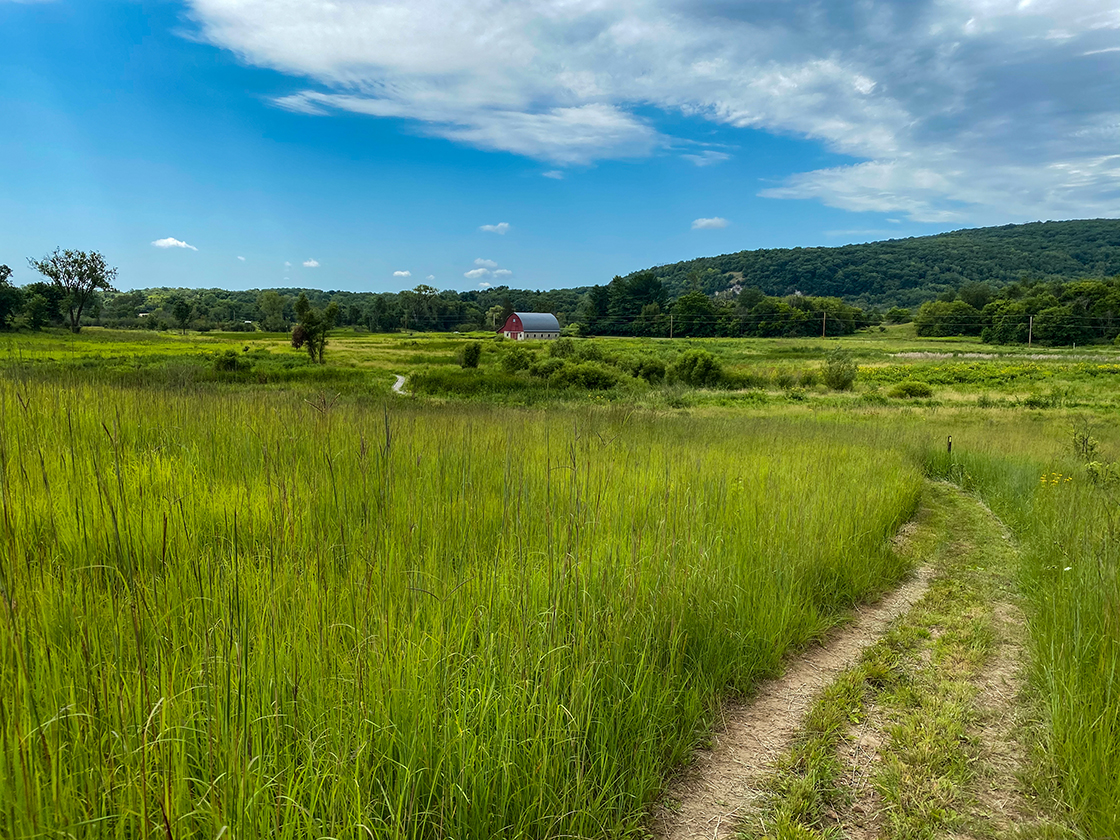 Hiking the Merrrimac Preserve Trails