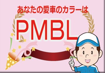 【簡単検索】車のカラーナンバー早見表: 【色番号】カラーコード テスラ PMBL