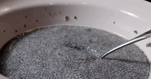 The 99 Cent Chef: Chia Pudding with Fruit