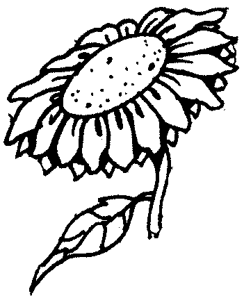 Koleksi Terpopuler 25+ Gambar Bunga Outline