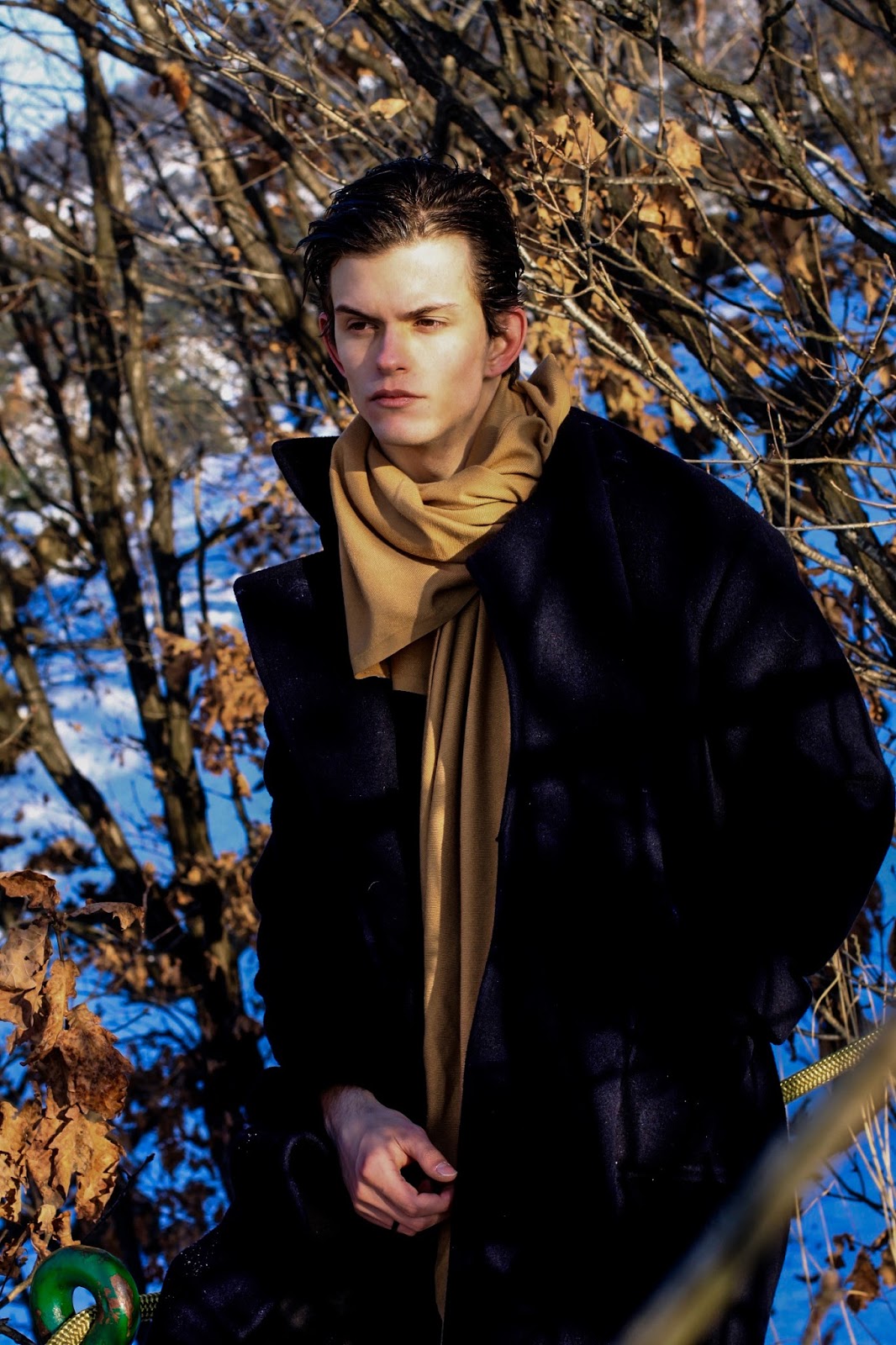 VEDOVATO – Cartola