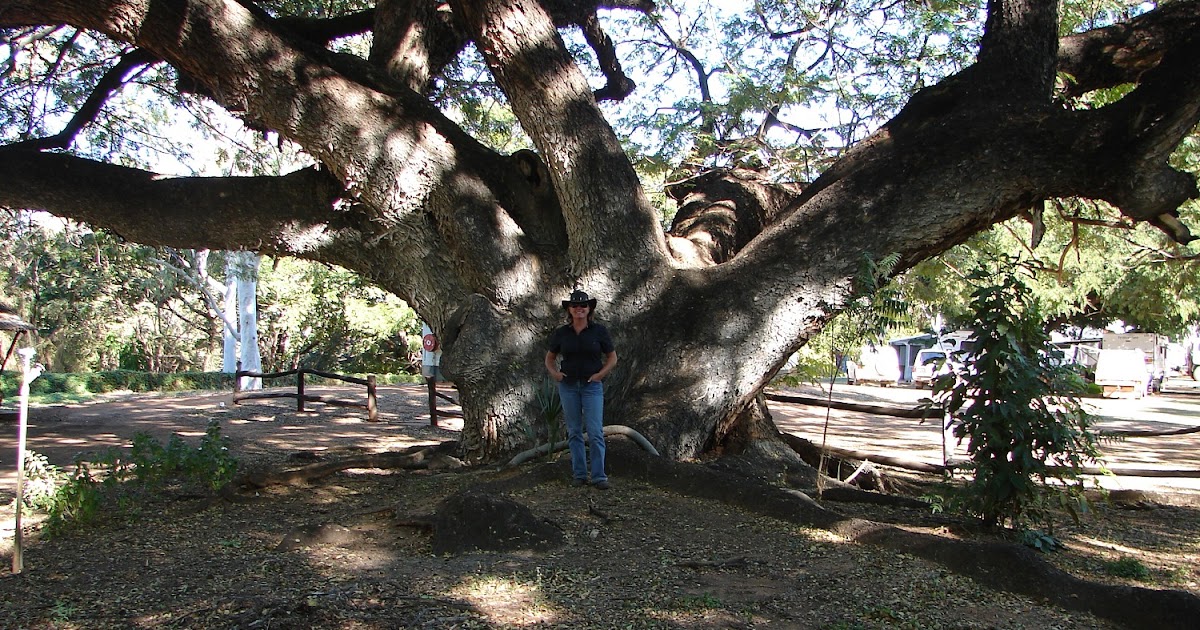 Steve and Dee's Australian tour: Springvale Homestead-NT.
