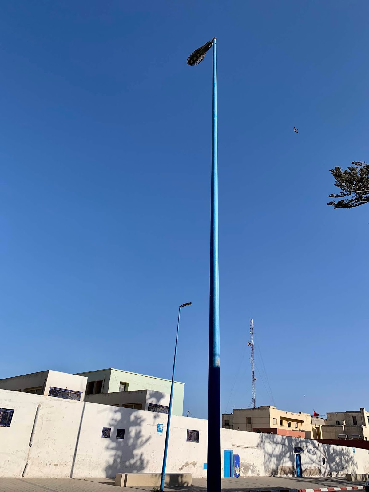 Another blustery day, all things blue – WorldTravelReynolds