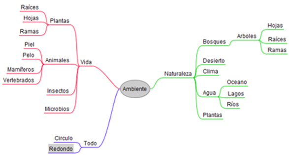 Mapa de ideas