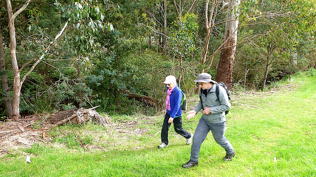 Ramblings: Nierinna Creek Tramway Hill Margate Rivulet 2015