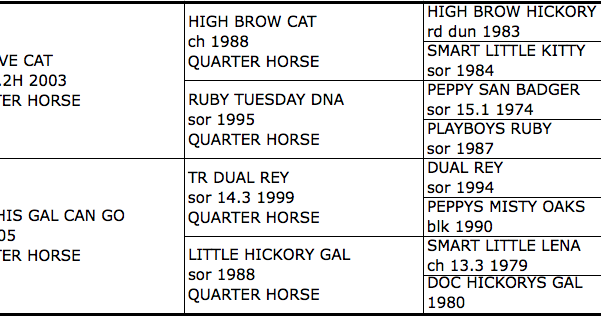 Roan River Ranch Quarter Horses: 2011 Mare by Hydrive Cat