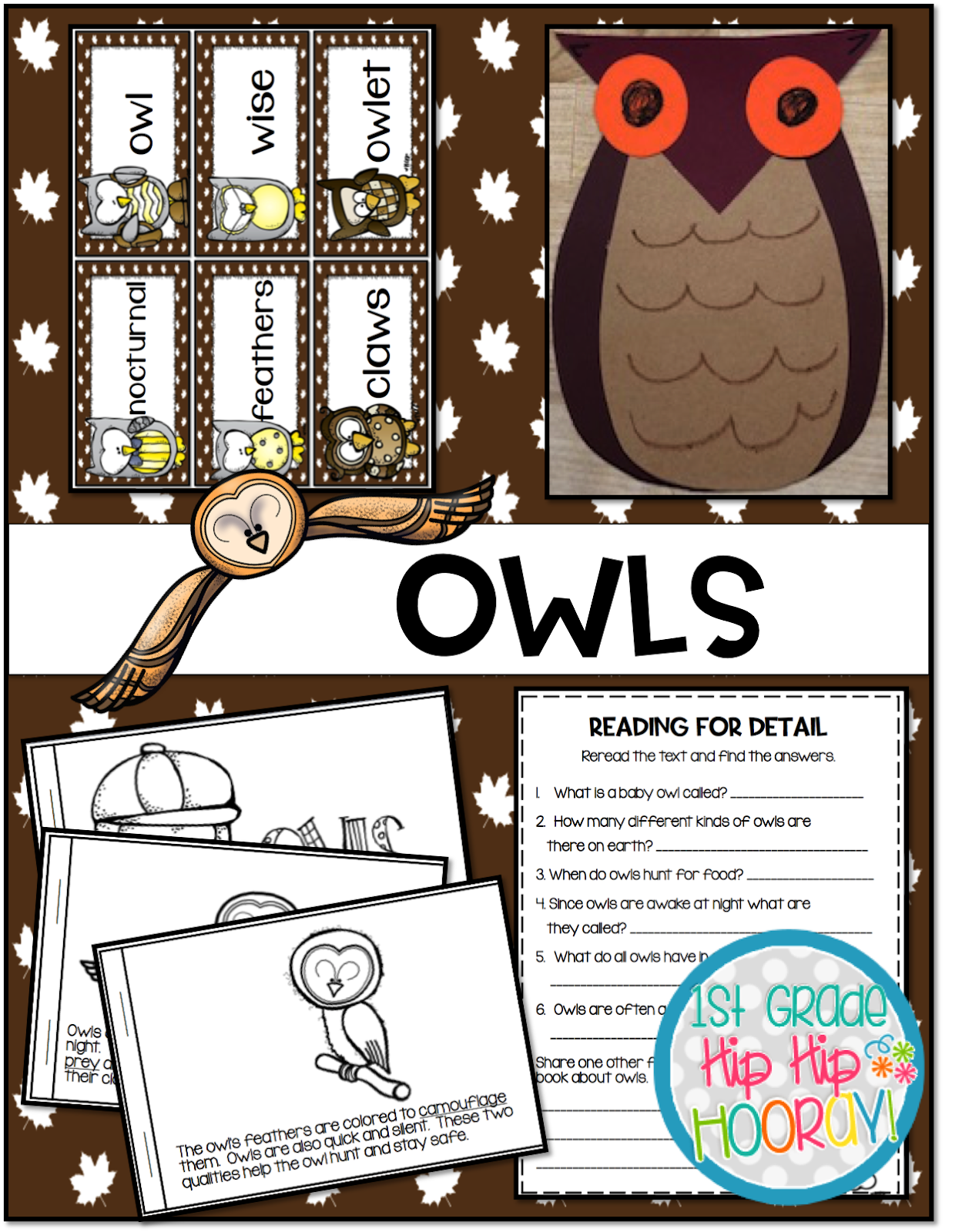1st Grade Hip Hip Hooray!: Owls...Informational Text and Activities