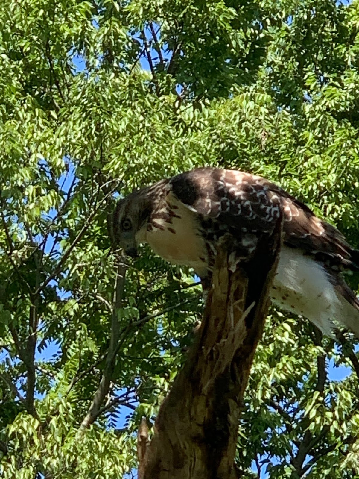 A little leeway: 2019