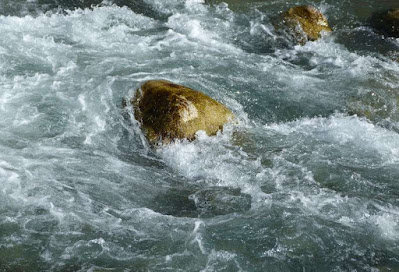 Le MOT DU JOUR - CoopBelsud: Les grands remous