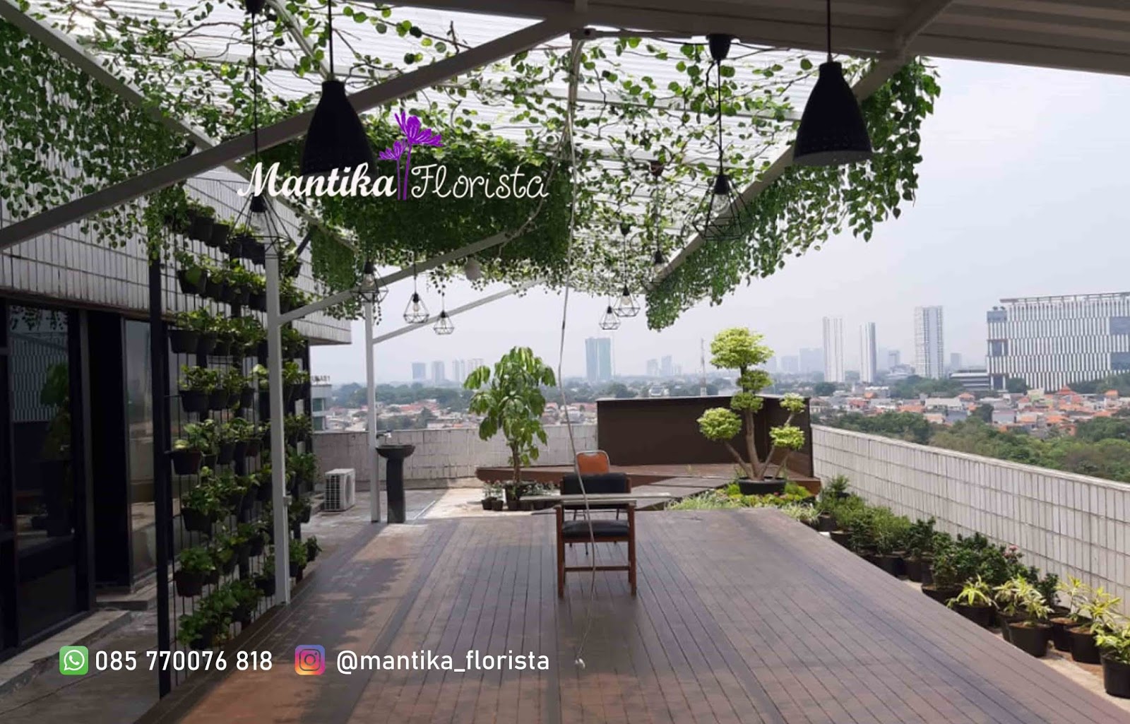 DEKORASI TANAMAN RAMBAT DI ROOFTOP CAFE
