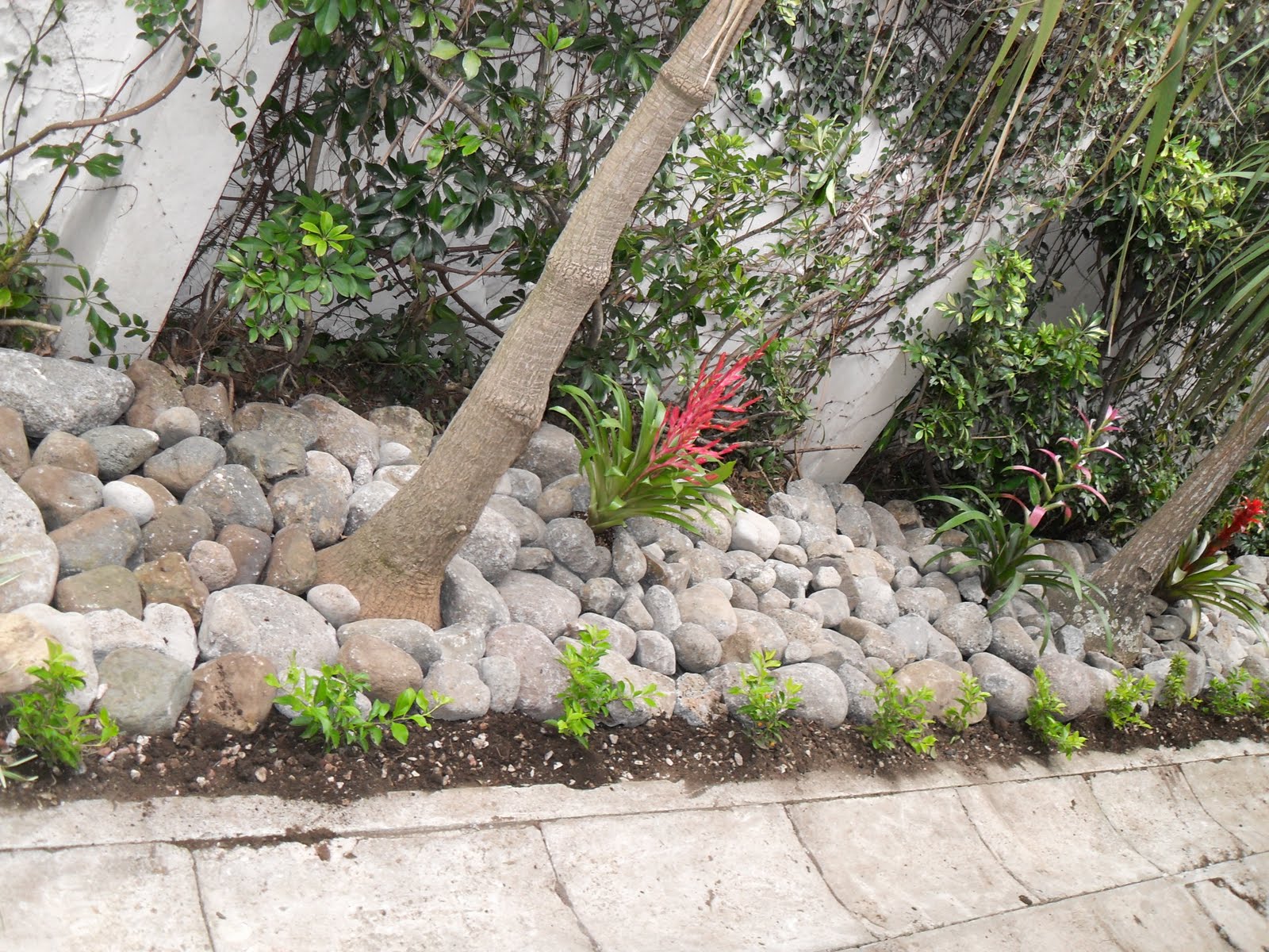 MANTENIMIENTO Y DISEÑO DE JARDINES: jardin Seco